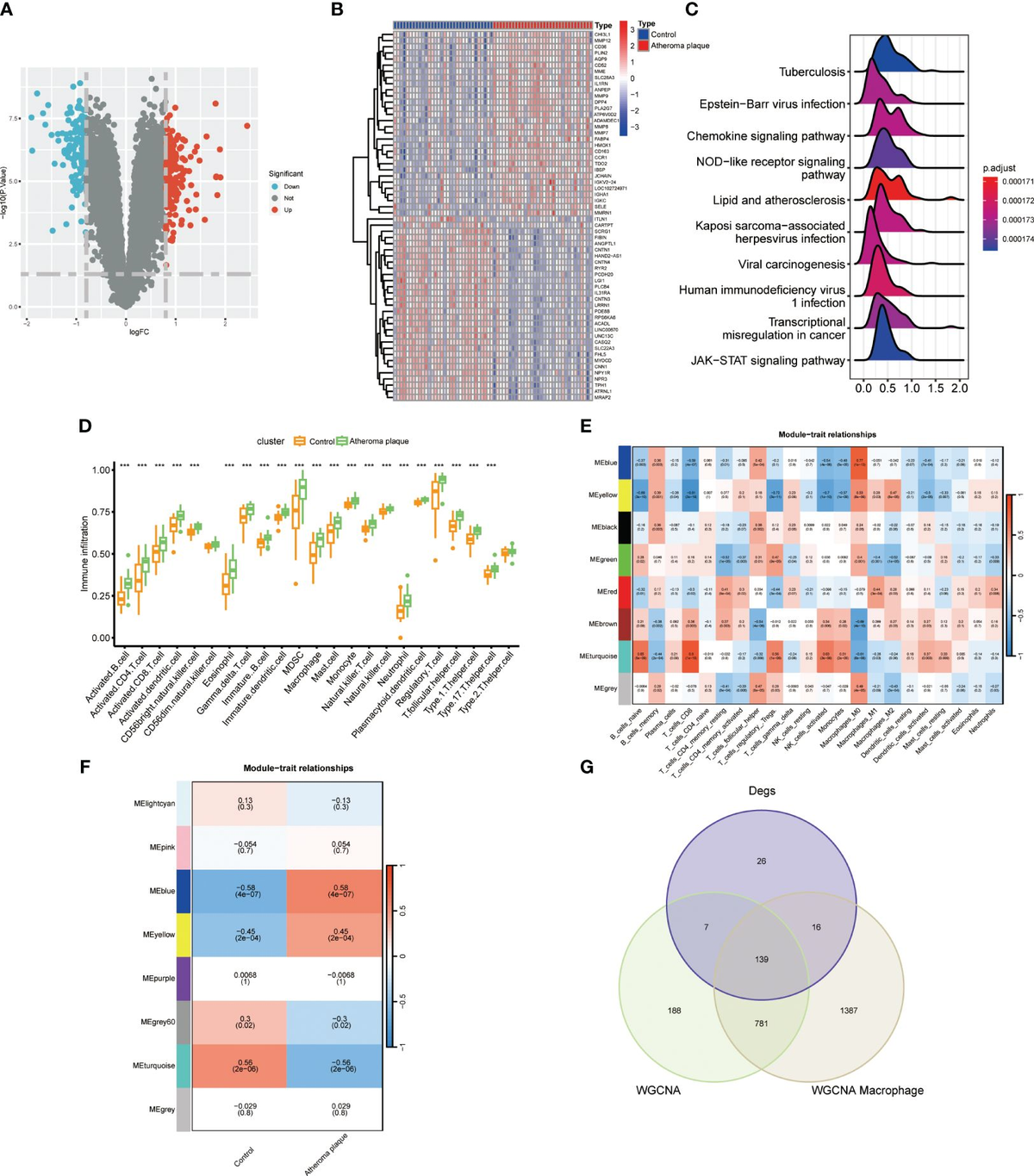 Frontiers | Integrating machine learning algorithms and single-cell analysis to identify gut ...