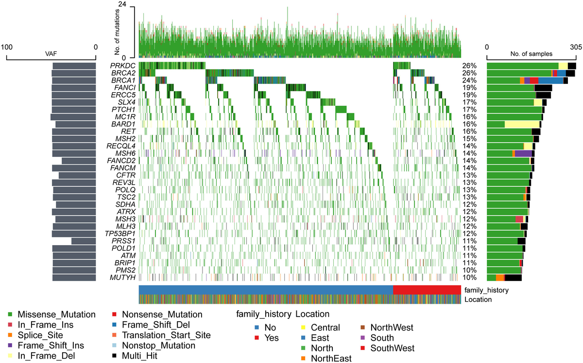 Frontiers | Mutation characteristics of cancer susceptibility genes in ...