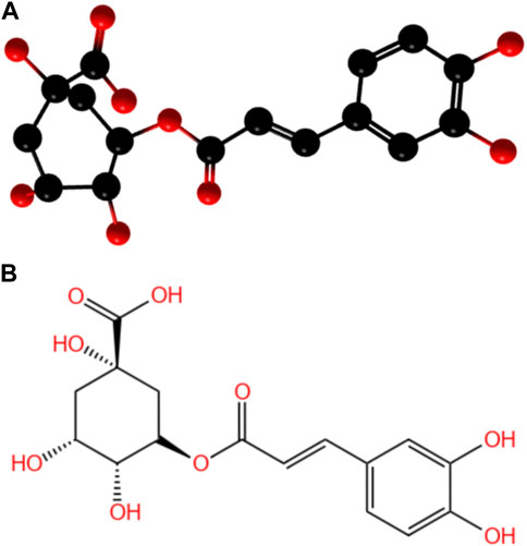 Frontiers | Osteogenic mechanism of chlorogenic acid and its ...
