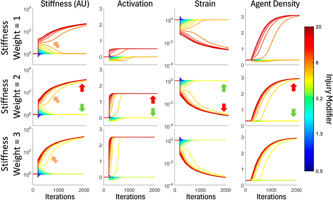 Frontiers | Elucidating the interaction between stretch and stiffness using an agent-based ...