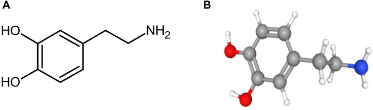 Frontiers | Advances in the study of polydopamine nanotechnology in ...