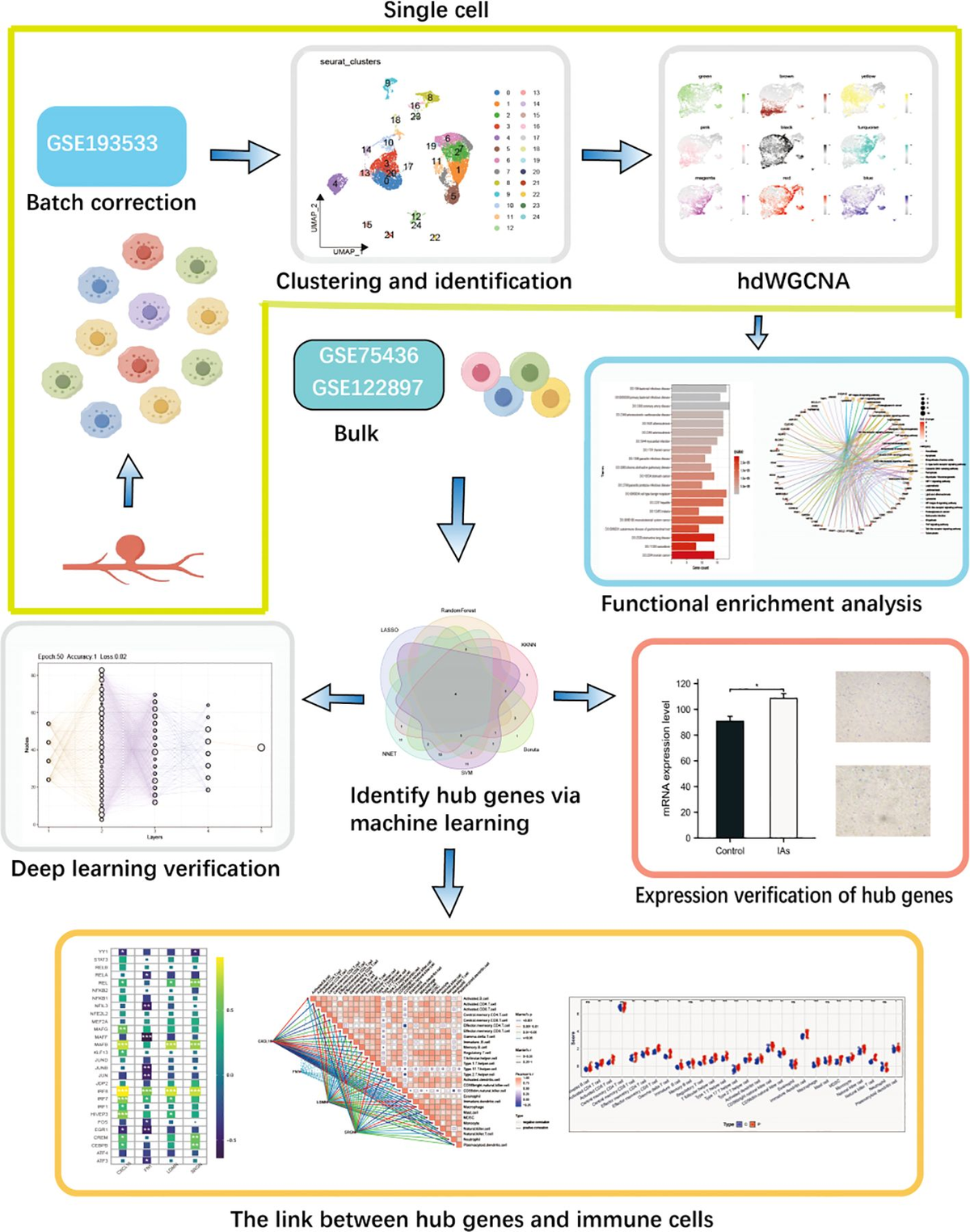 Frontiers | Integrated analysis of single-cell sequencing and machine ...
