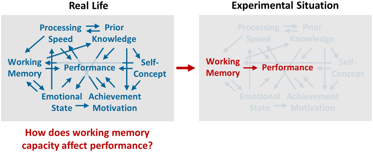 Frontiers | The hidden complexity of the simple world of basic ...