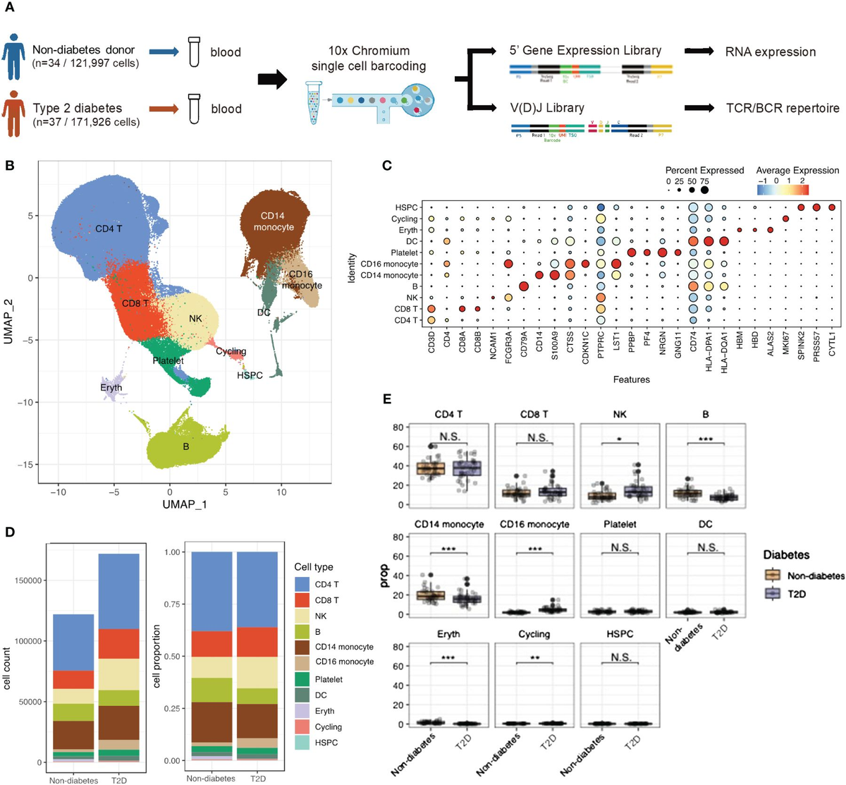 Frontiers | Single-cell analysis of human PBMCs in healthy and type 2 ...
