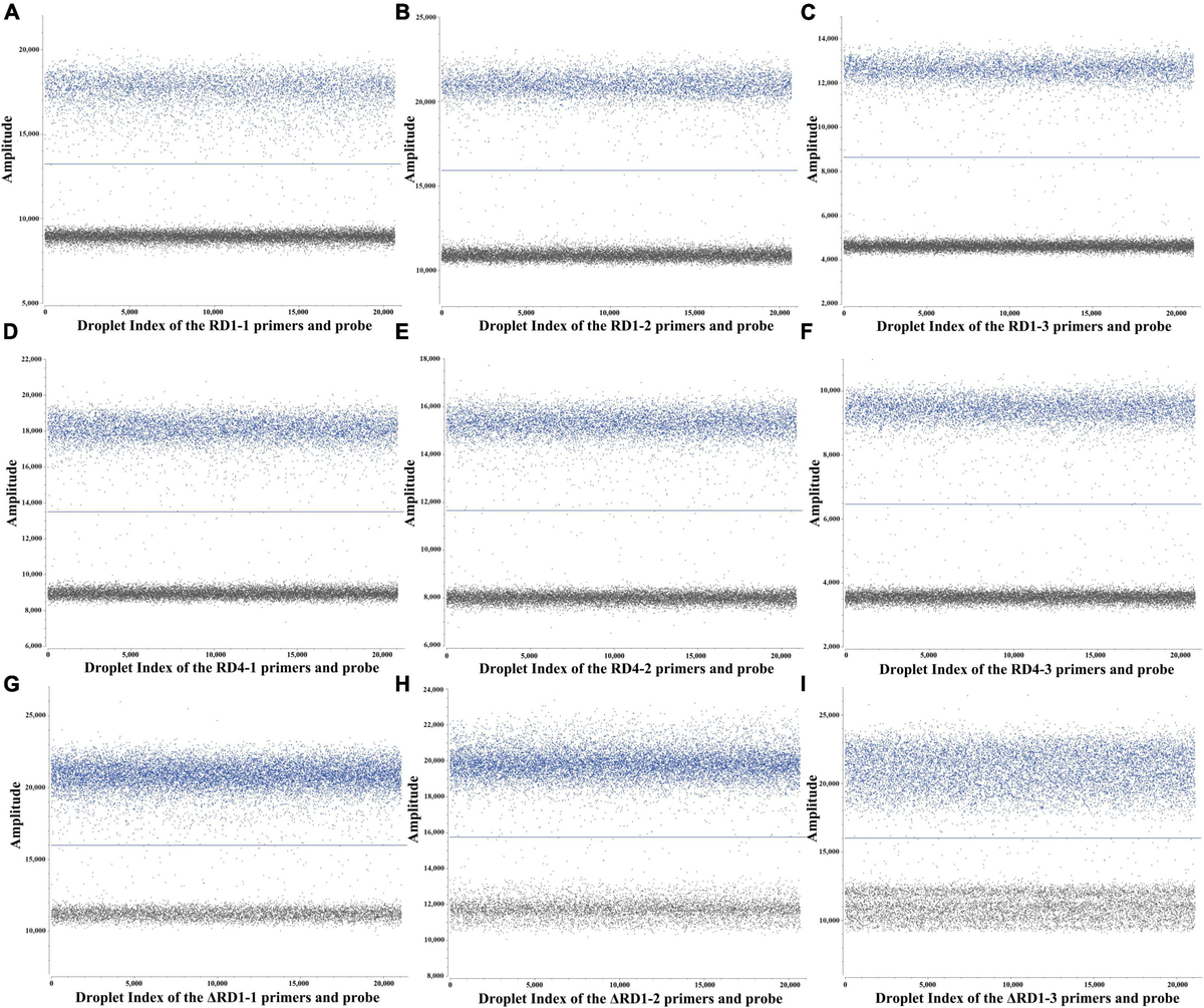 Frontiers | Development and evaluation of a triplex droplet digital PCR method for ...