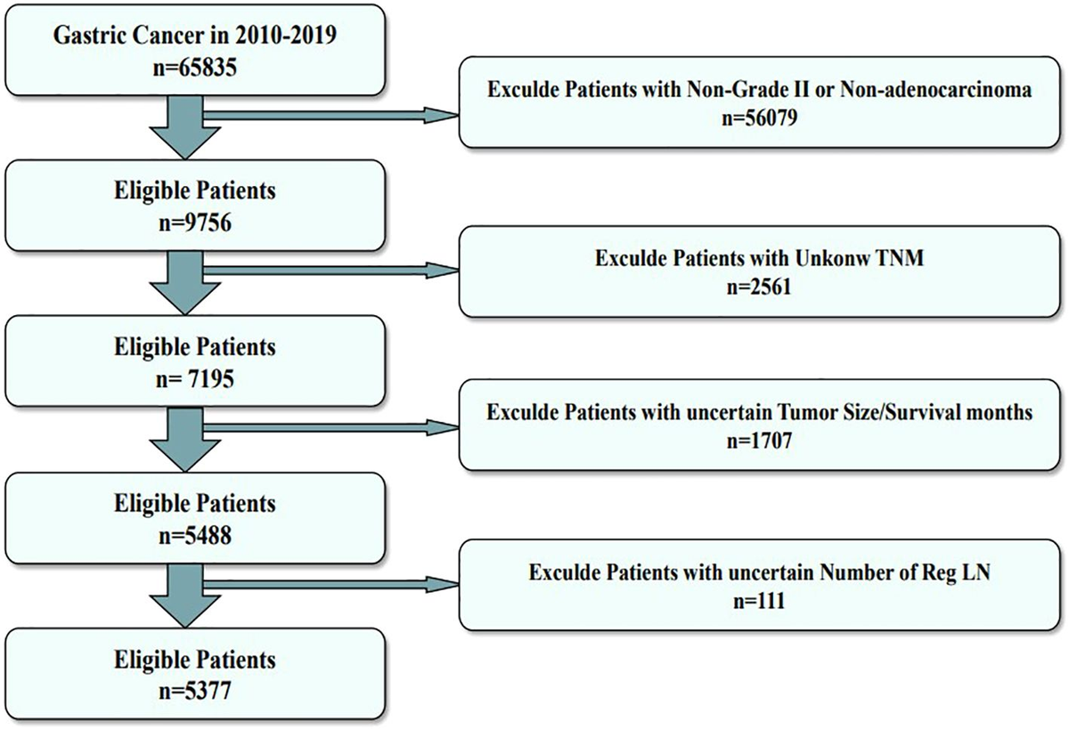 Frontiers | Machine learning to predict distant metastasis and ...