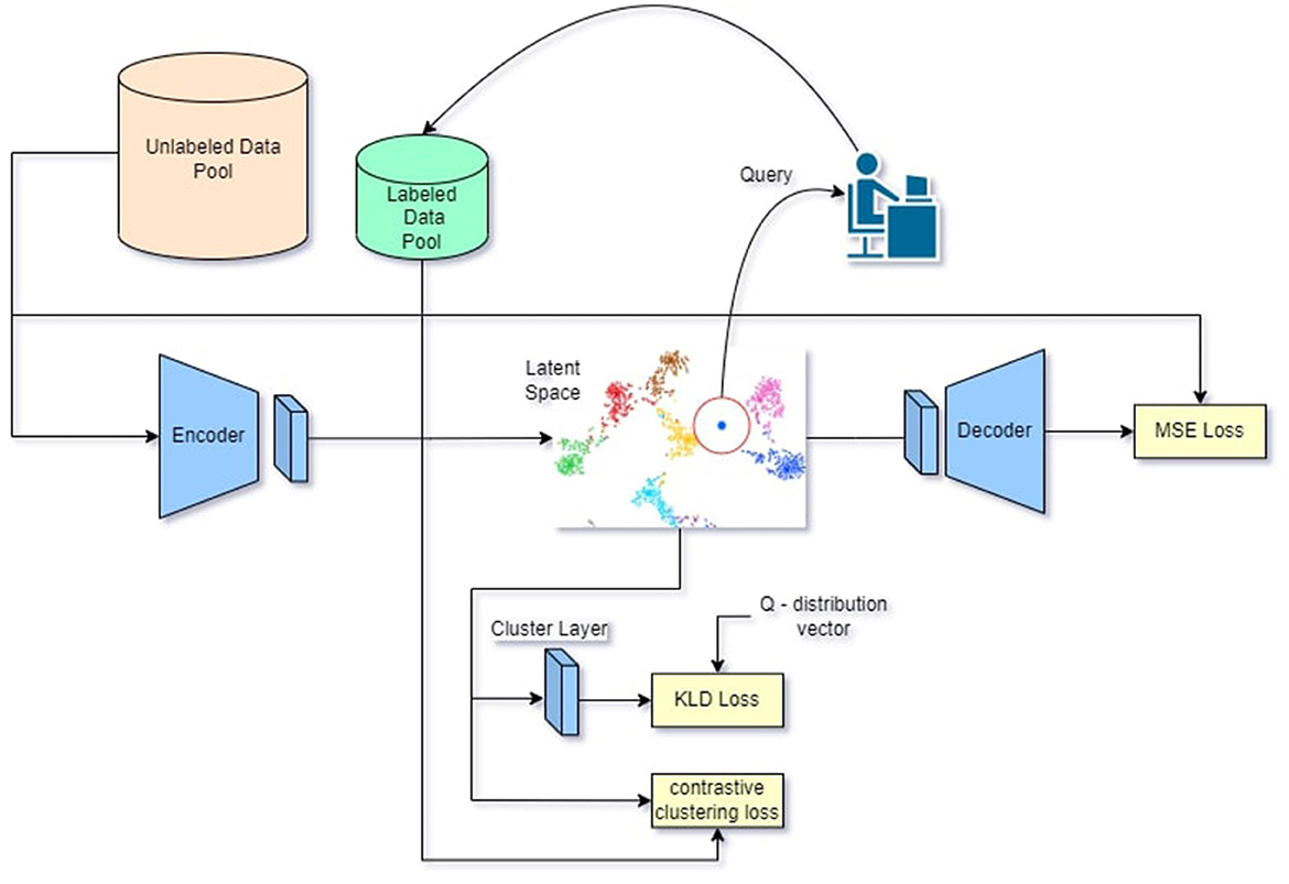 Frontiers | Semi-supervised active learning using convolutional auto- encoder and contrastive ...