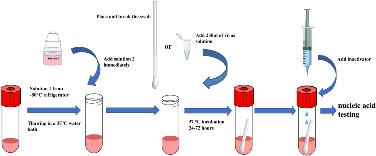 Frontiers | Modified transport medium for improving influenza virus ...