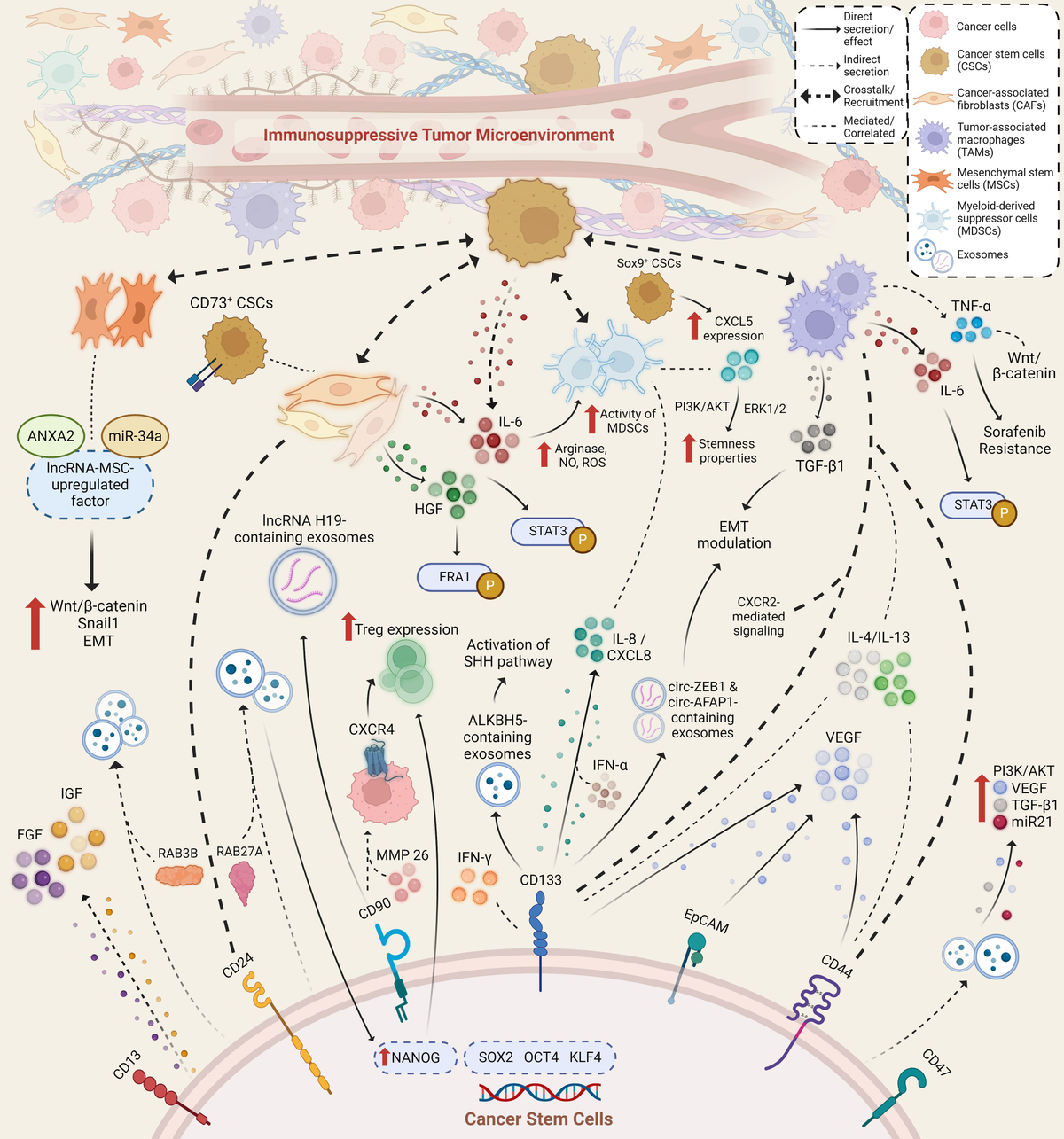 Frontiers | The roles of cancer stem cell-derived secretory factors in ...