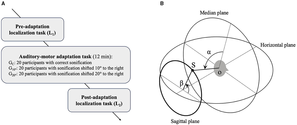 Frontiers | Auditory-motor adaptation: induction of a lateral shift in ...