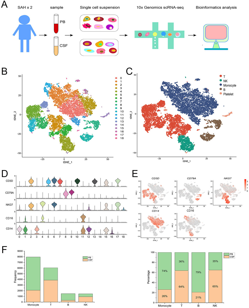 Frontiers | Single-cell transcriptomic landscape reveals the role of ...