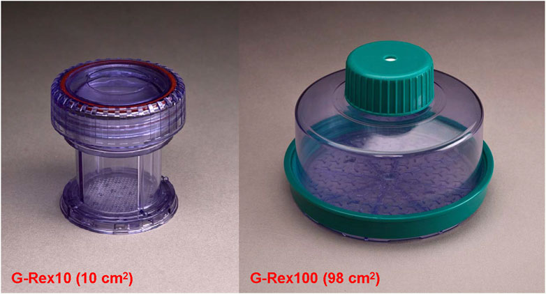 Frontiers | Silicone rubber membrane devices permit islet culture at ...