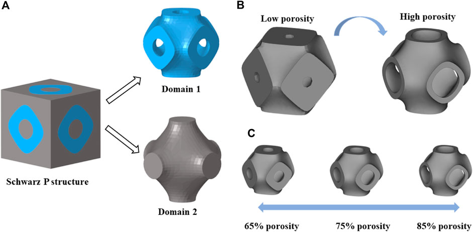 Frontiers | Design of novel triply periodic minimal surface (TPMS) bone ...