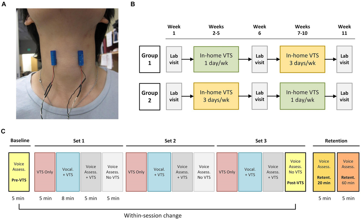Frontiers | Effects of an 11-week vibro-tactile stimulation treatment ...