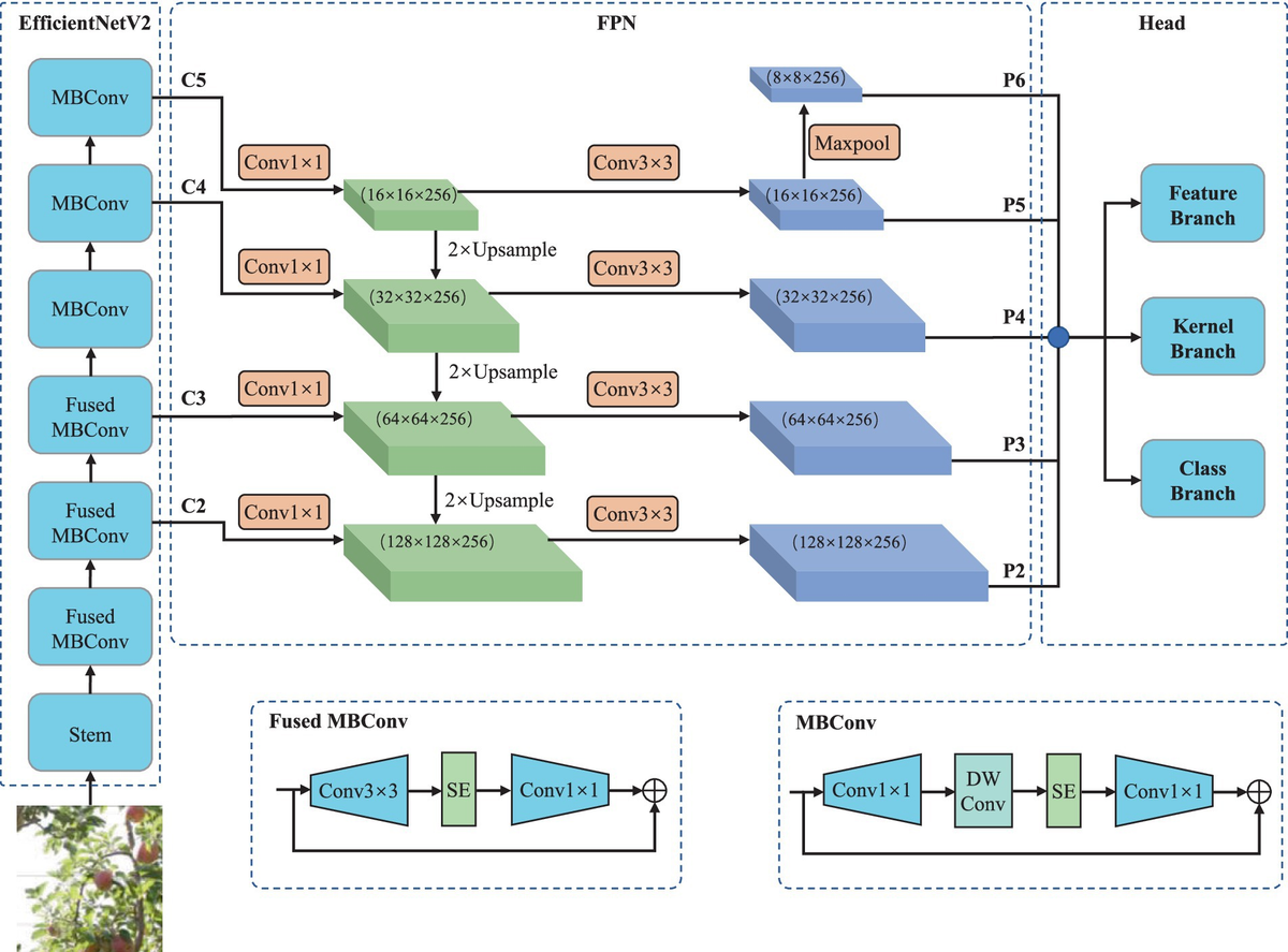 Frontiers | High-precision apple recognition and localization method based on RGB-D and improved ...