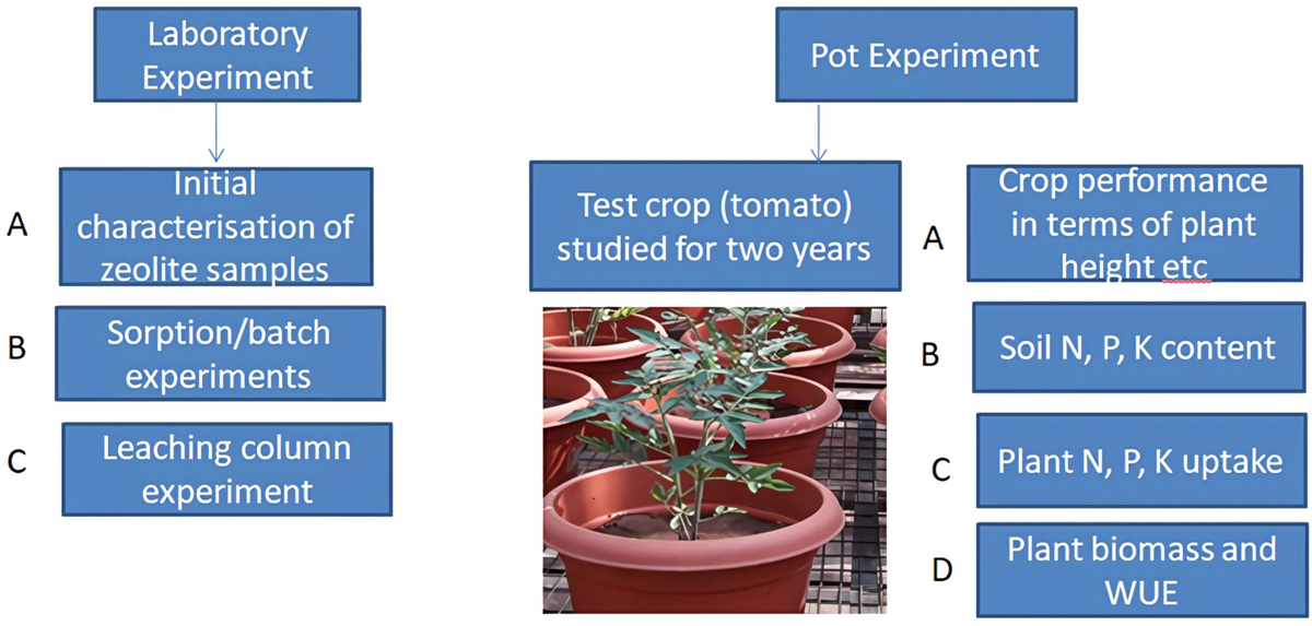 Frontiers | Role of mordenite zeolite in improving nutrient and water ...