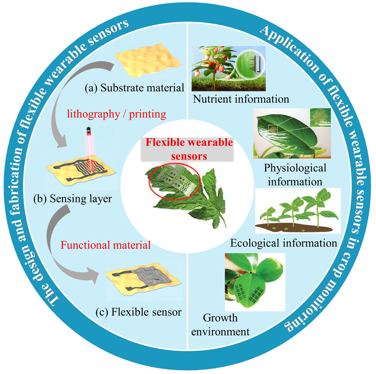 Frontiers | Flexible wearable sensors for crop monitoring: a review