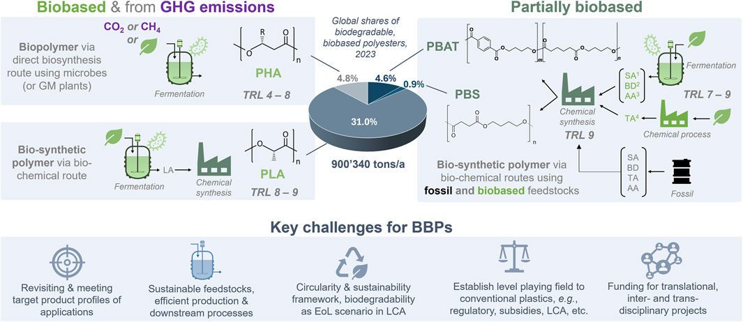 Frontiers | Key challenges in the advancement and industrialization of ...