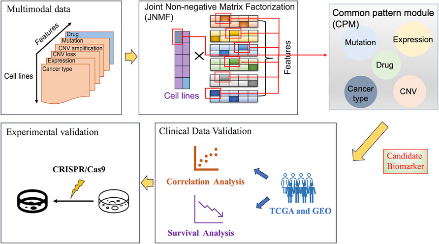 Frontiers | Integrative analysis of cancer multimodality data ...