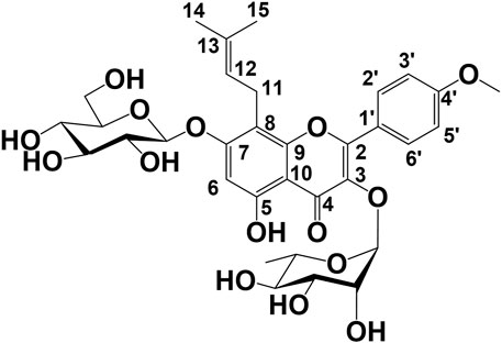 Frontiers | Prenylflavonoids isolated from Epimedii Herba show ...