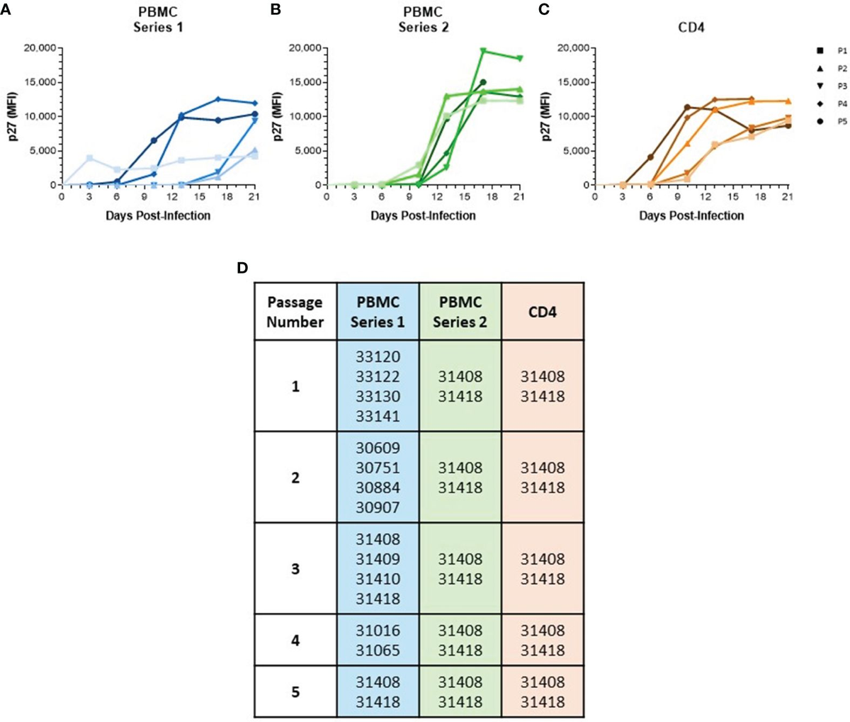 Frontiers | Adaptation of SIVmac to baboon primary cells results in ...