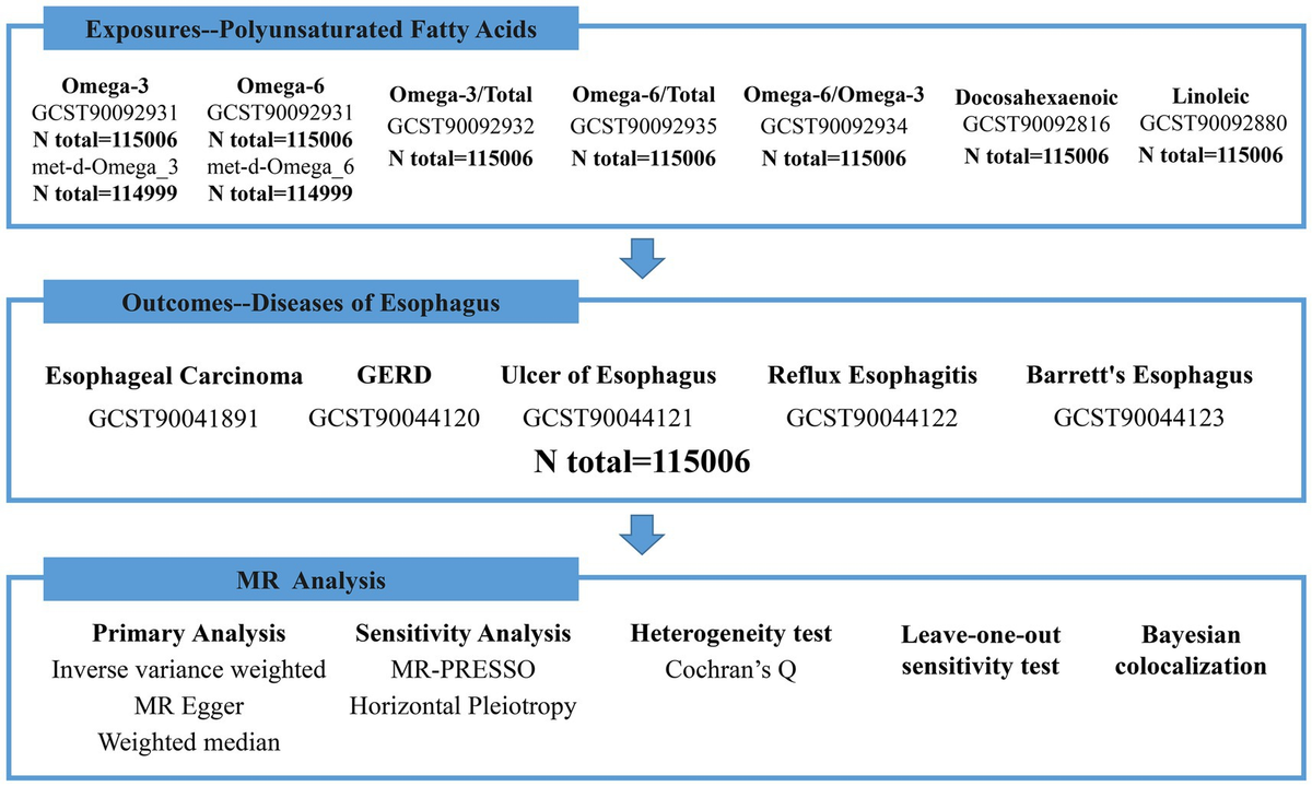 Frontiers | Relationships of omega-3 and omega-6 polyunsaturated fatty ...