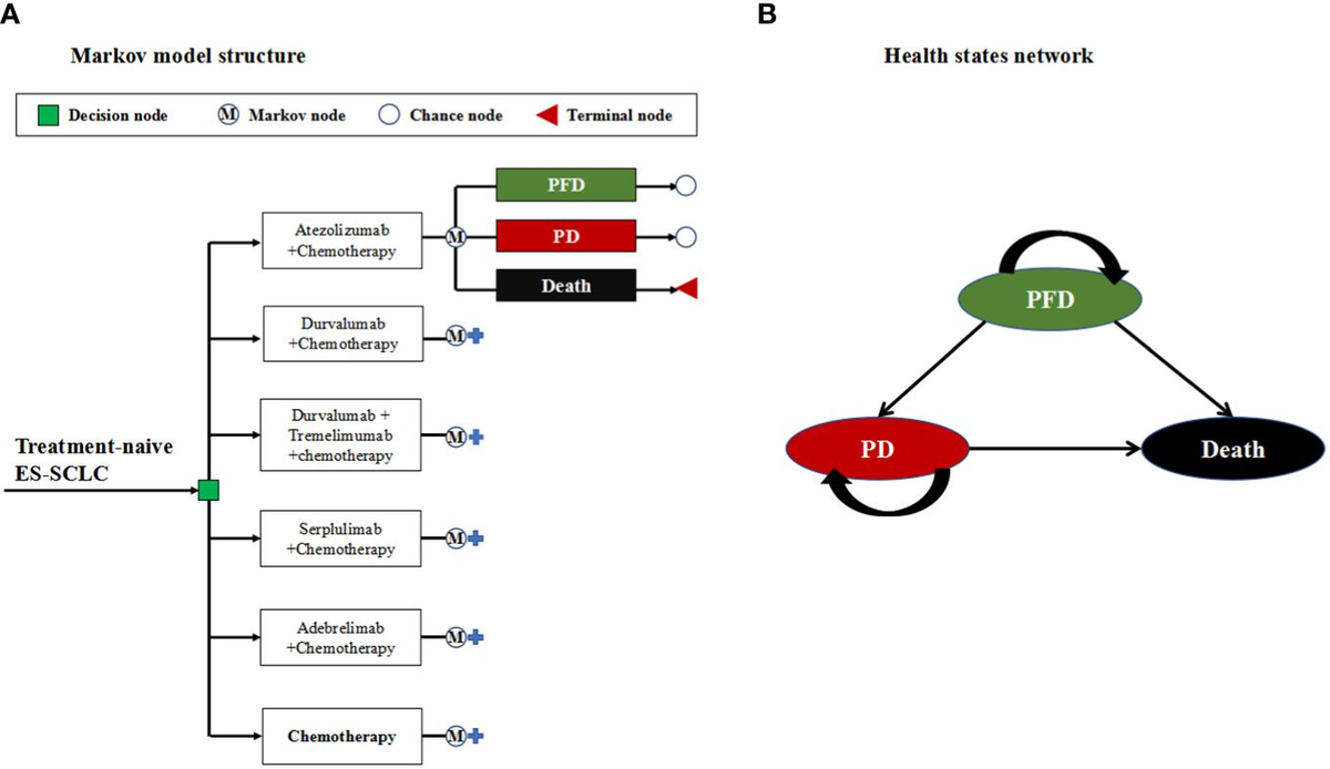 Frontiers | First-line treatments for extensive-stage small-cell lung ...