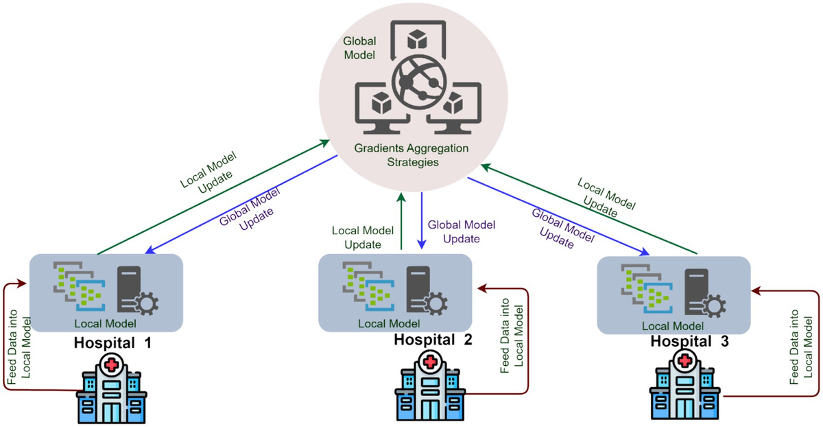 Frontiers | Efficient differential privacy enabled federated learning model for detecting COVID ...