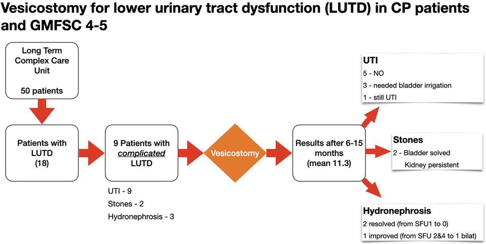 Frontiers | Permanent cutaneous vesicostomy: a pragmatic approach to ...