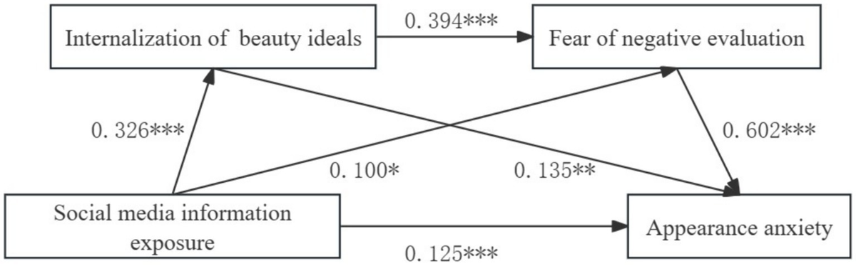 Frontiers | The impact of social media information exposure on ...