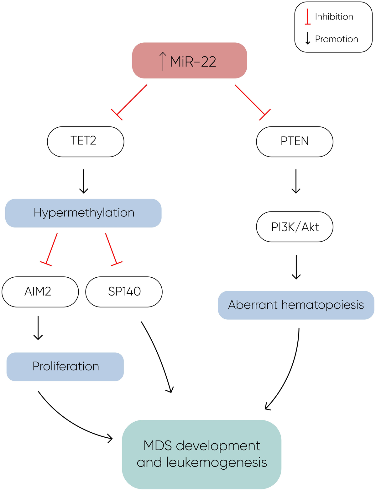 Frontiers | MicroRNA dysregulation in myelodysplastic syndromes ...