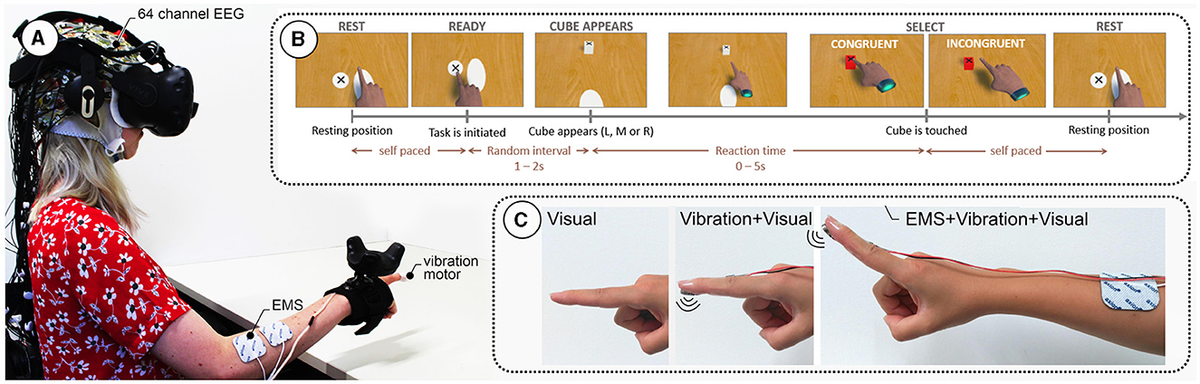 Frontiers | Visuo-haptic prediction errors: a multimodal dataset (EEG, motion) in BIDS format ...