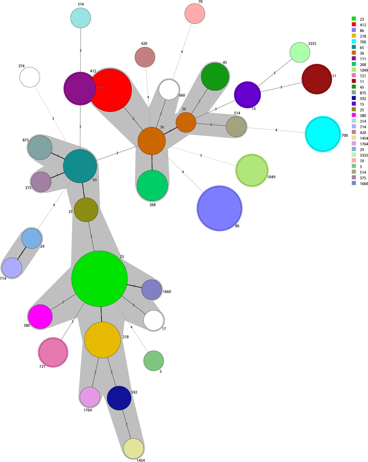 Frontiers | Molecular epidemiology of string test-positive Klebsiella ...