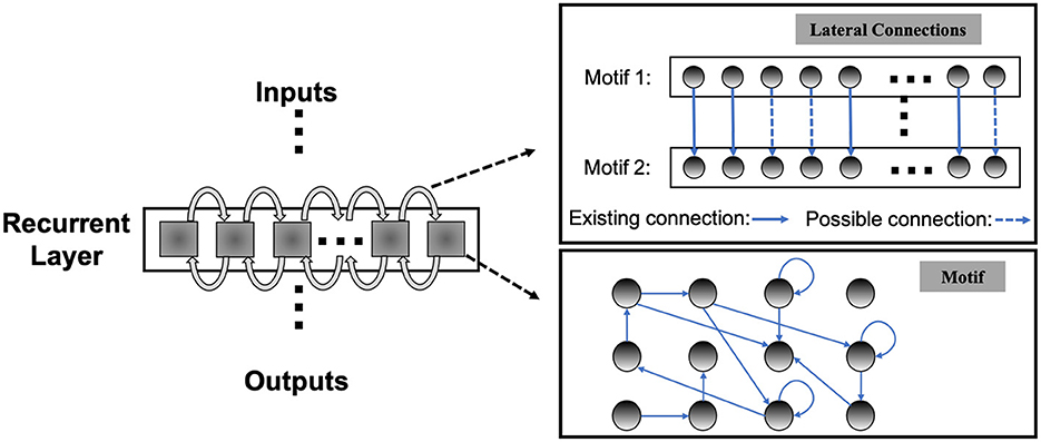 Frontiers | Composing recurrent spiking neural networks using locally-recurrent motifs and risk ...