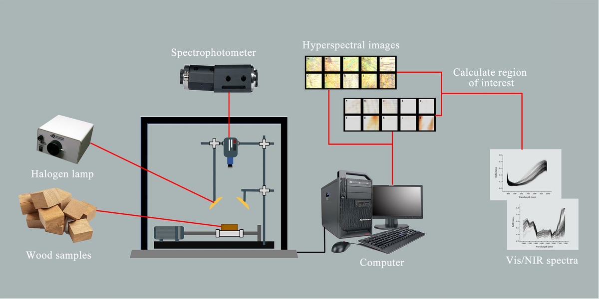 Frontiers | Visible/near-infrared hyperspectral imaging combined with ...