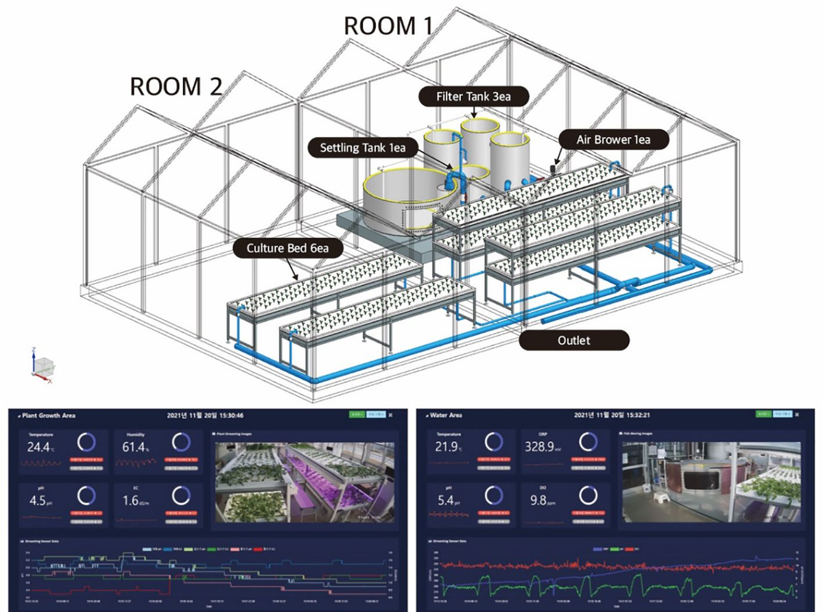Frontiers | Evaluating crop growth between hydroponics and aquaponics ...