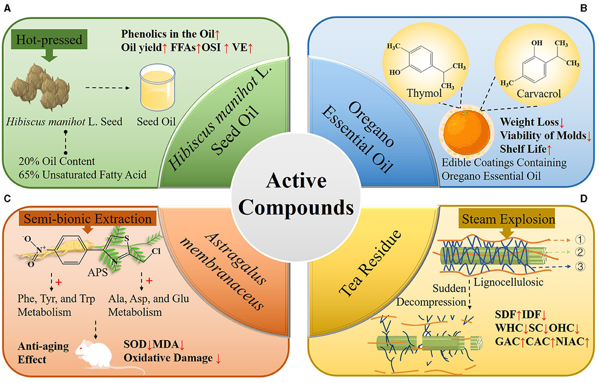 Frontiers | Editorial: Exploring sustainable strategies for active ...
