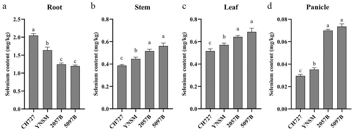 Frontiers | Transcriptome analysis of high- and low-selenium genotypes ...