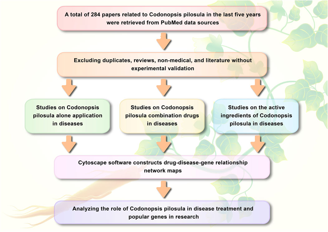 Frontiers | A systematic review of the mechanism of action and ...