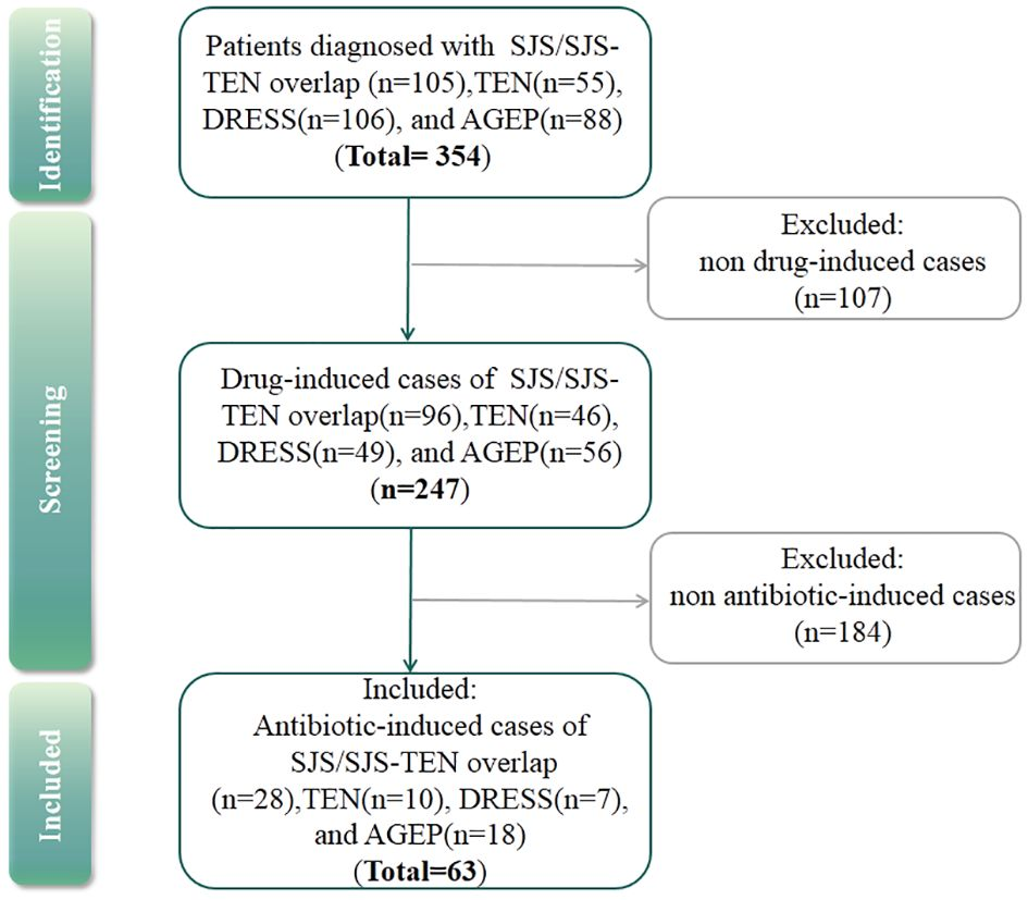Frontiers | Antibiotic-induced severe cutaneous adverse reactions: a ...