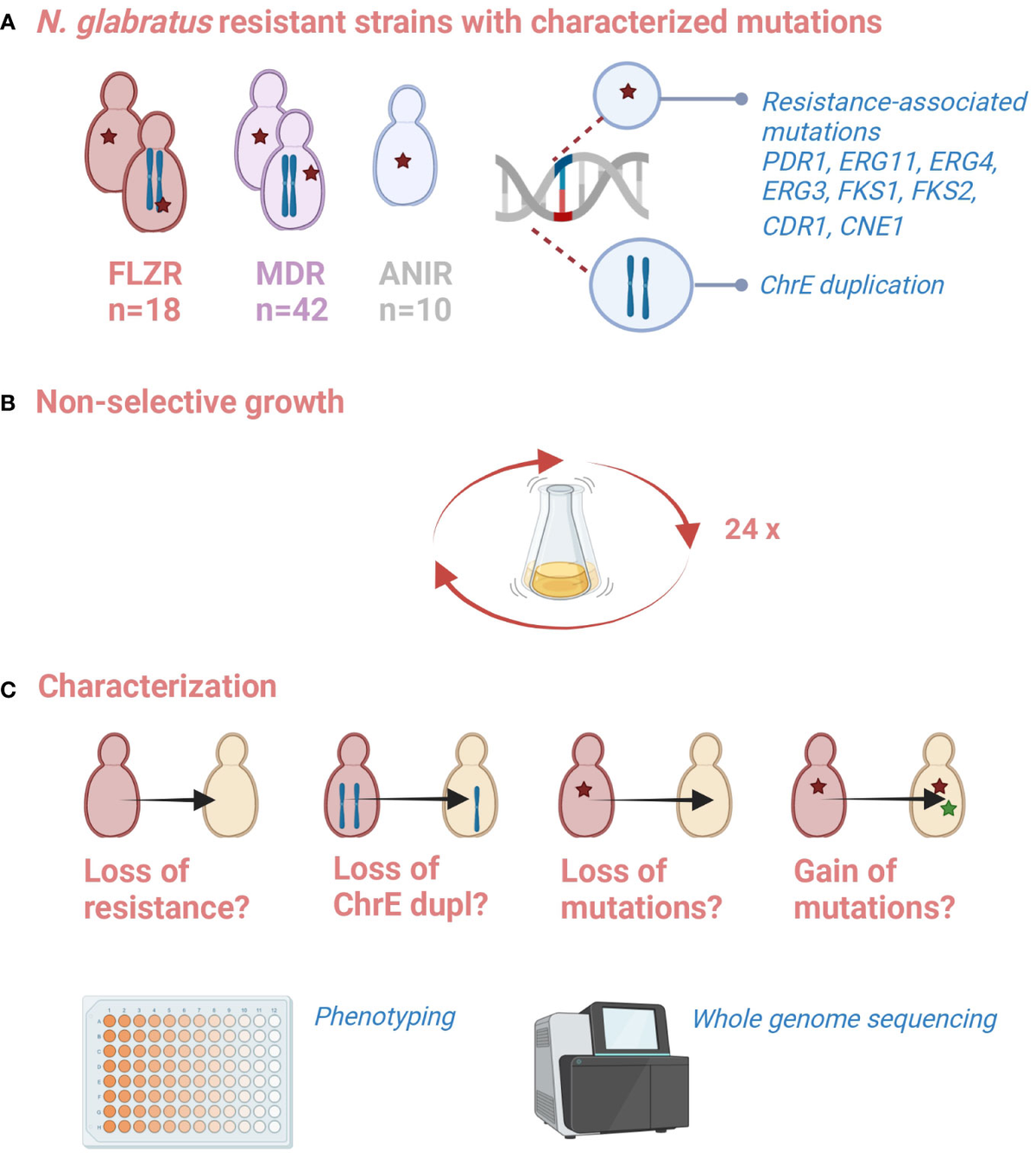 Frontiers | Long-term stability of acquired drug resistance and ...