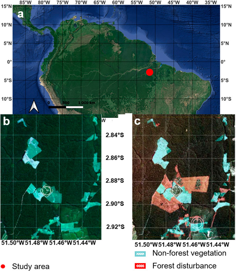 Frontiers | A near-real-time tropical deforestation monitoring ...