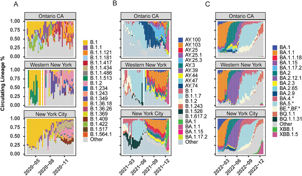 Frontiers | Genomic profiling and spatial SEIR modeling of COVID-19 transmission in Western New York