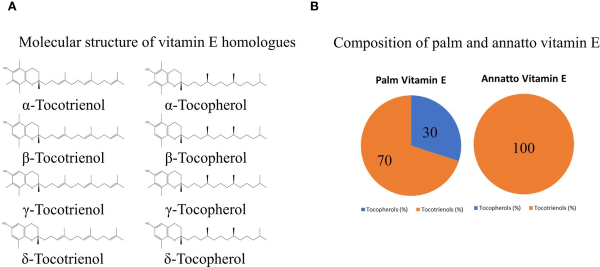 Frontiers | Updates in the skeletal and joint protective effects of ...
