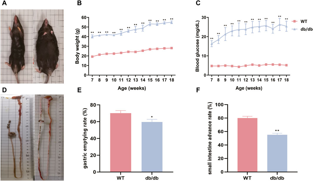 Frontiers | Multi-omics characterization of type 2 diabetes mellitus ...
