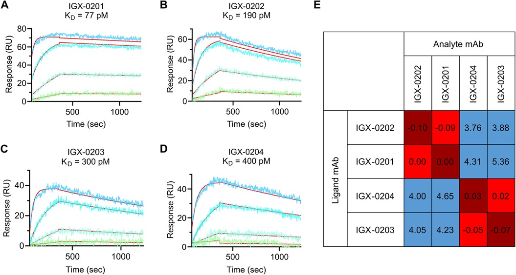 Frontiers | A human monoclonal antibody based immunoenzymetric assay to ...