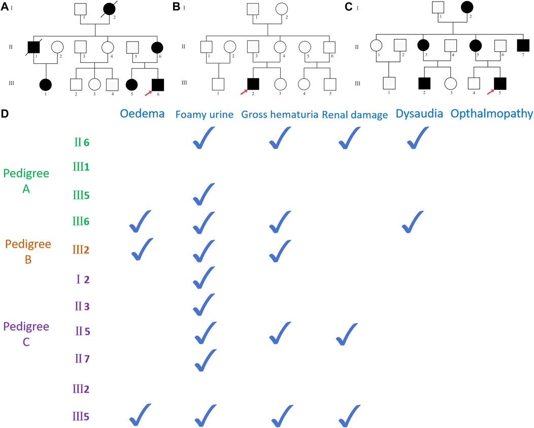 Frontiers | Analyzing three pedigrees in X-linked Alport syndrome with ...