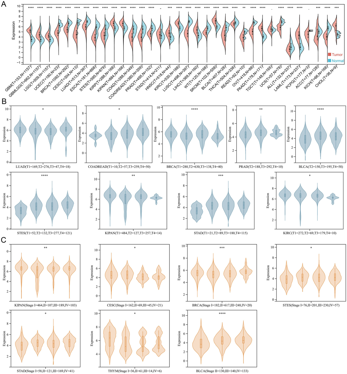Frontiers | Migrasome regulator TSPAN4 shapes the suppressive tumor ...