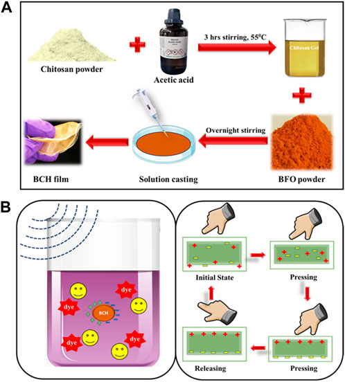Frontiers | Highly efficient piezocatalytic composite with chitosan ...