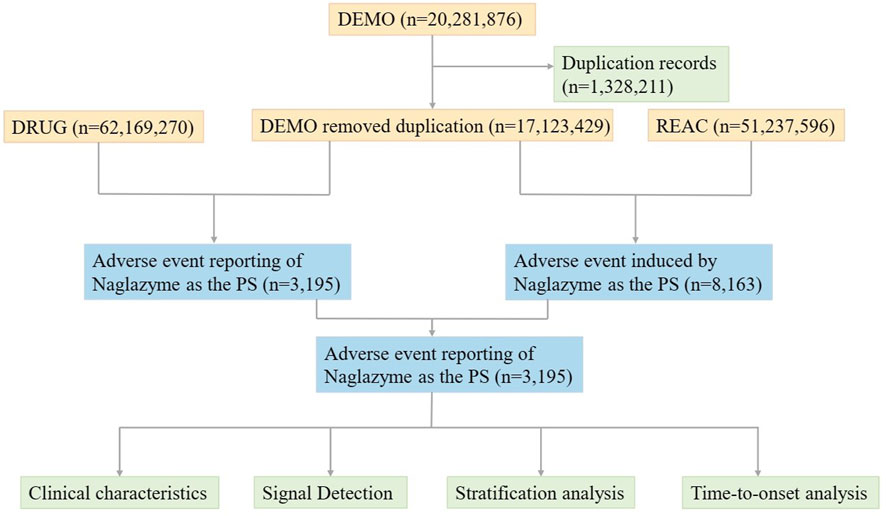 Frontiers | Real-world pharmacovigilance analysis of galsulfase: a ...